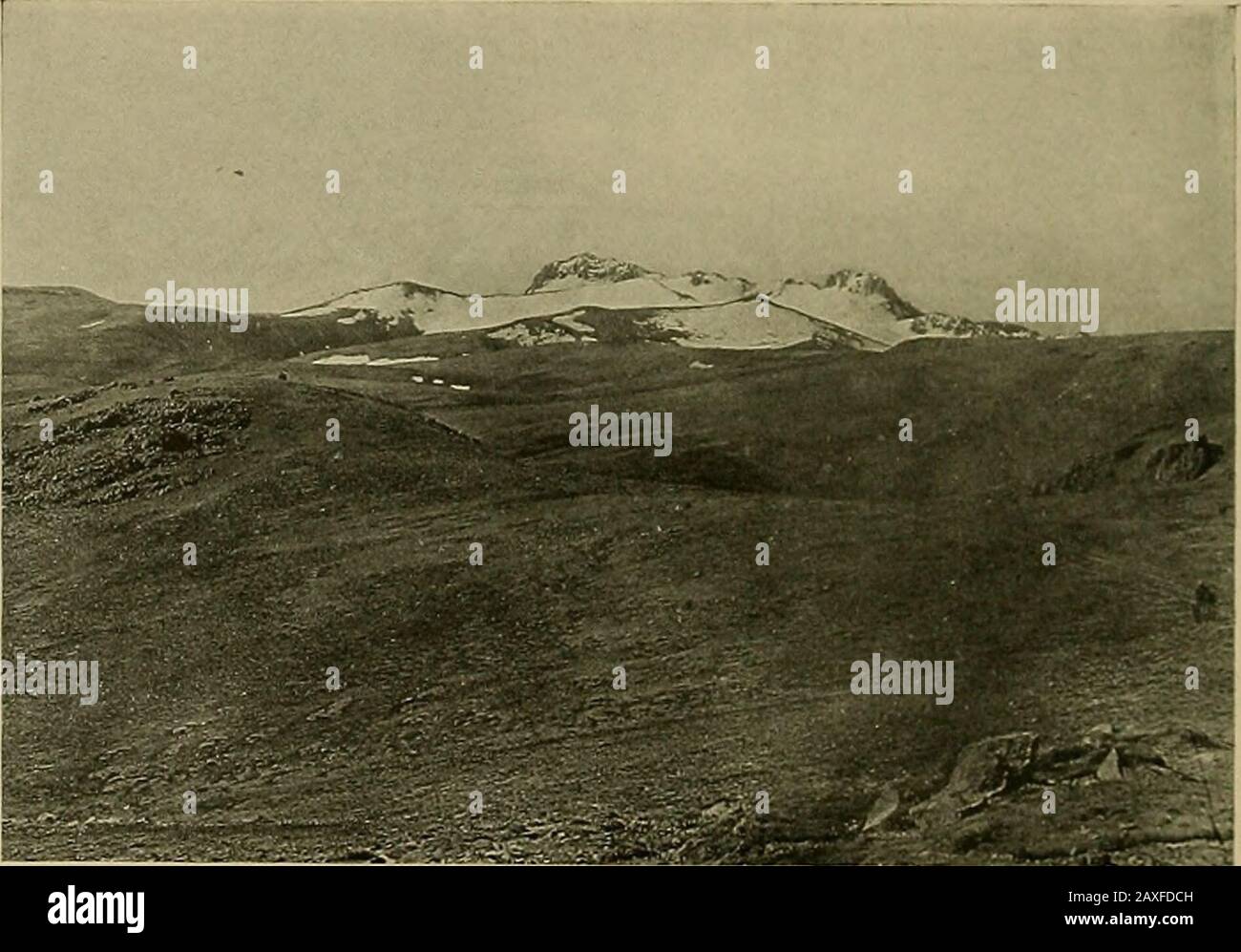 Truncated spurs hi-res stock photography and images - Alamy