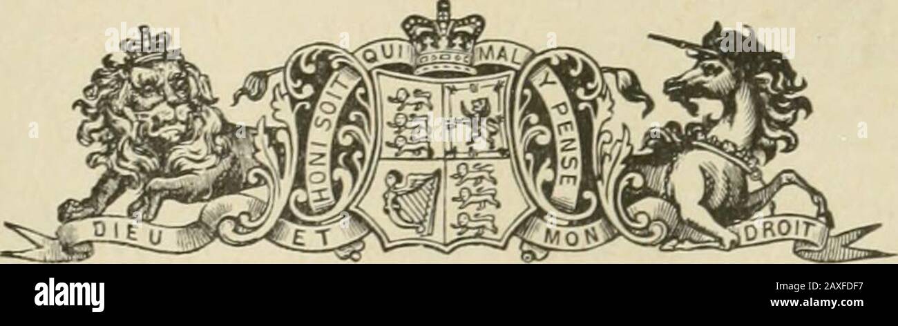 Sheep scab mite hi-res stock photography and images - Alamy