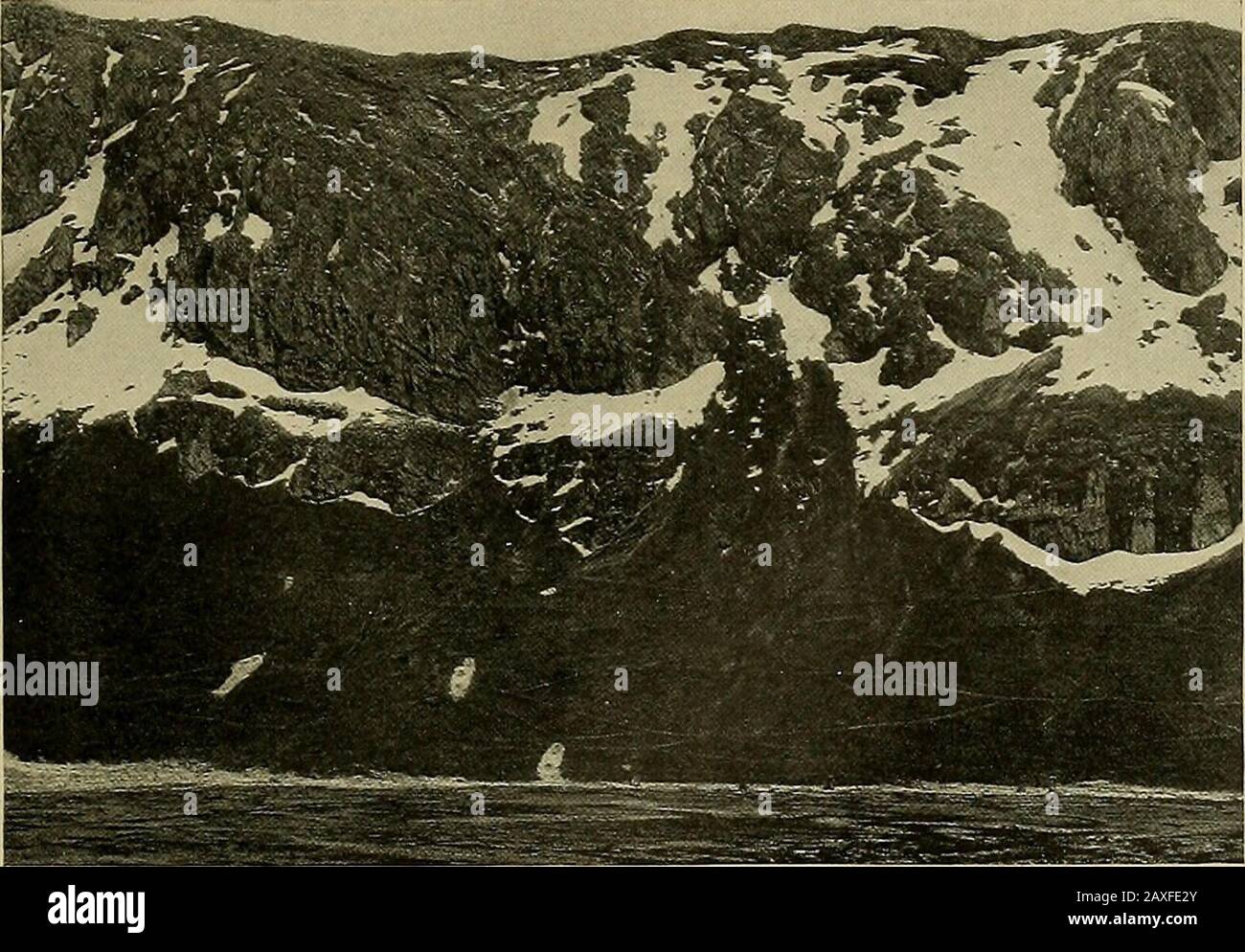 Pocked High Resolution Stock Photography and Images - Alamy