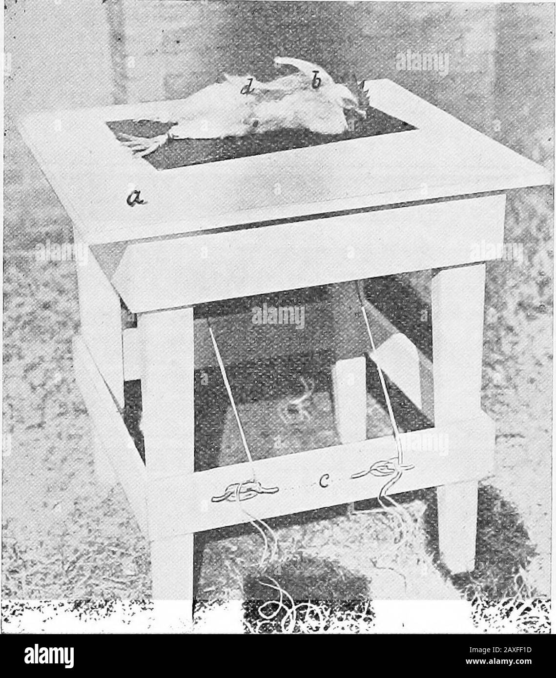 Gorged food hi-res stock photography and images - Alamy