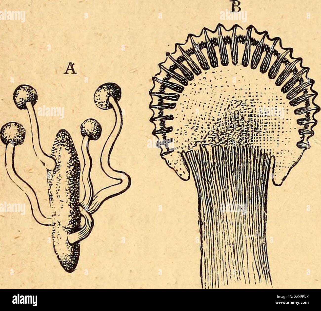 Greasy Lake Short Story Characters Clipart