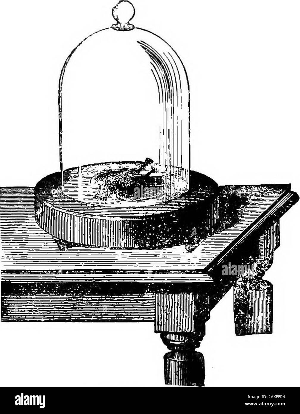 Scientific amusements . ome cold, we die away, and cease to live. Mans ...