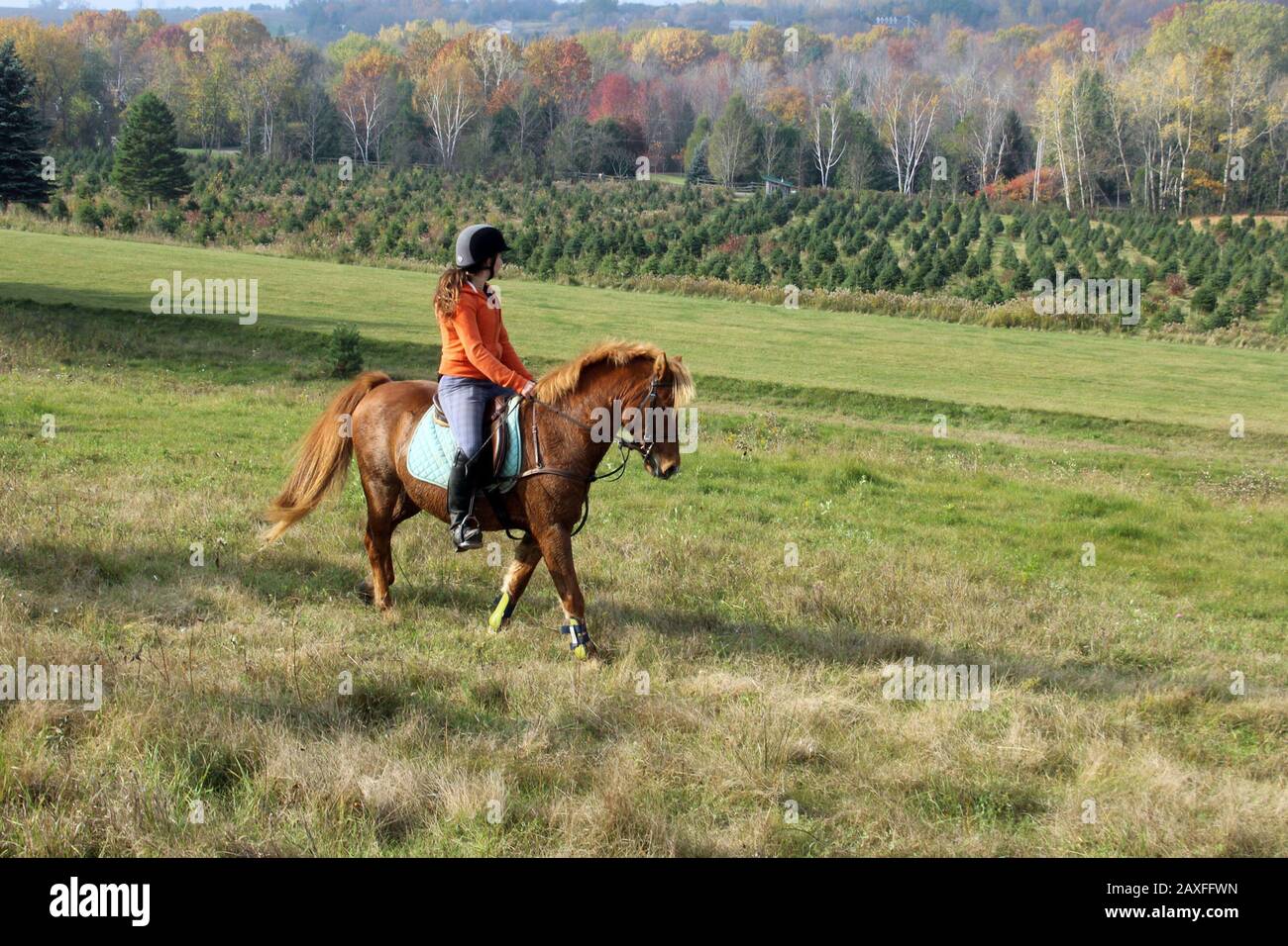Young girl riding her pony Stock Photo - Alamy