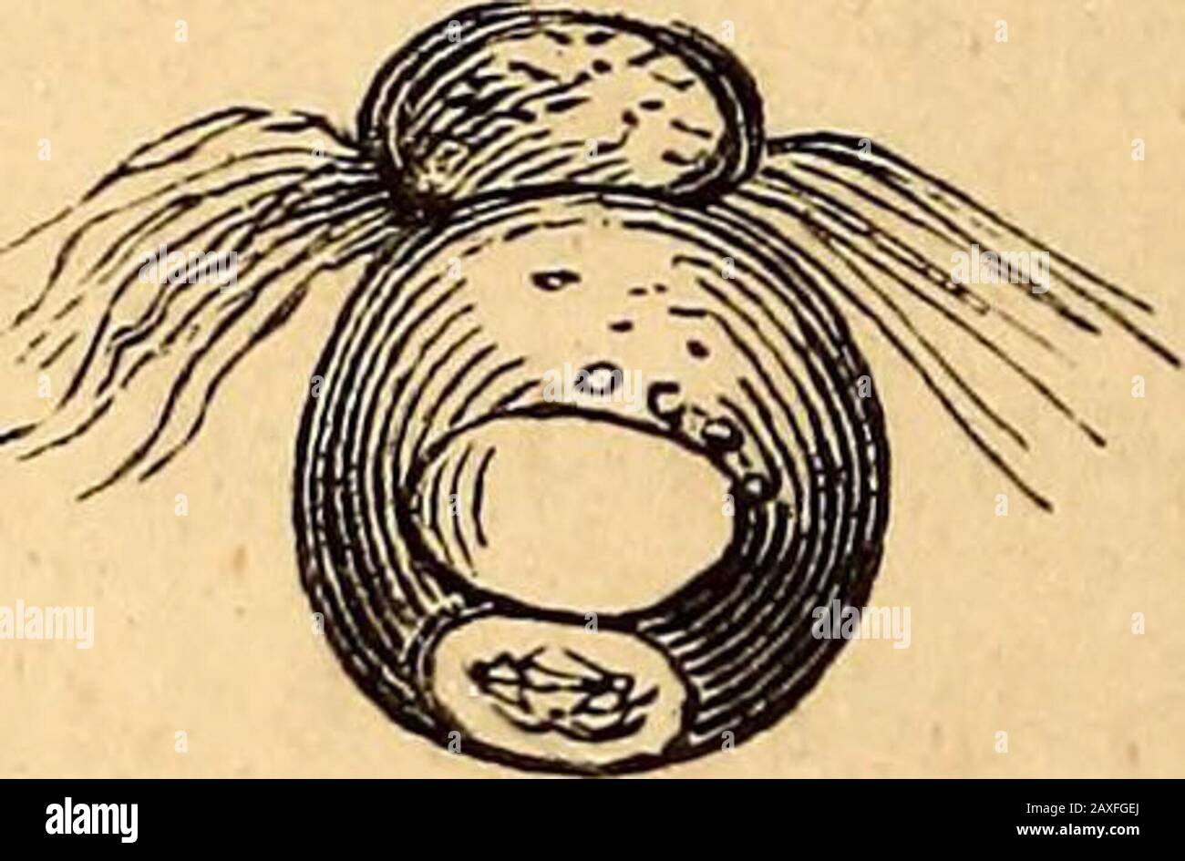 Characese hi-res stock photography and images - Alamy