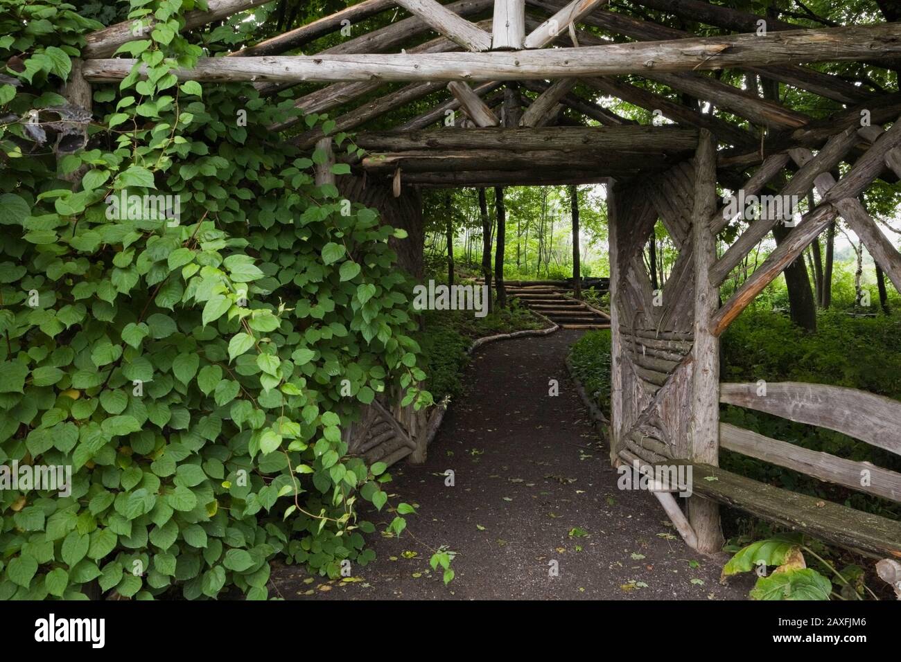 Gravel path and passageway through wooden log gate leading to cedar log ...