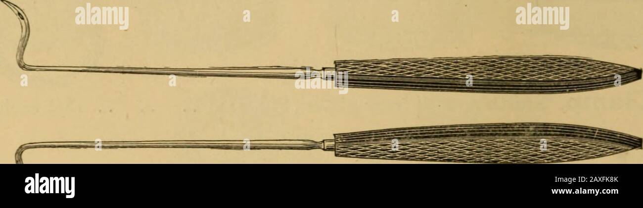 6 prong hi-res stock photography and images - Alamy