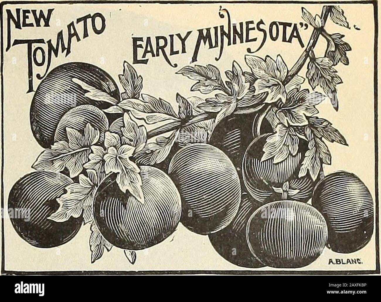 Mr brinton hi-res stock photography and images - Alamy