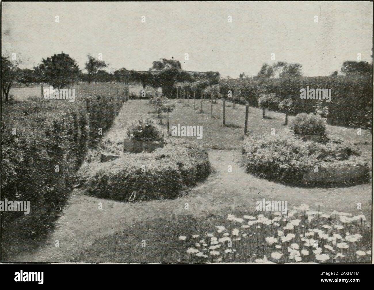 Victoria io hi-res stock photography and images - Alamy