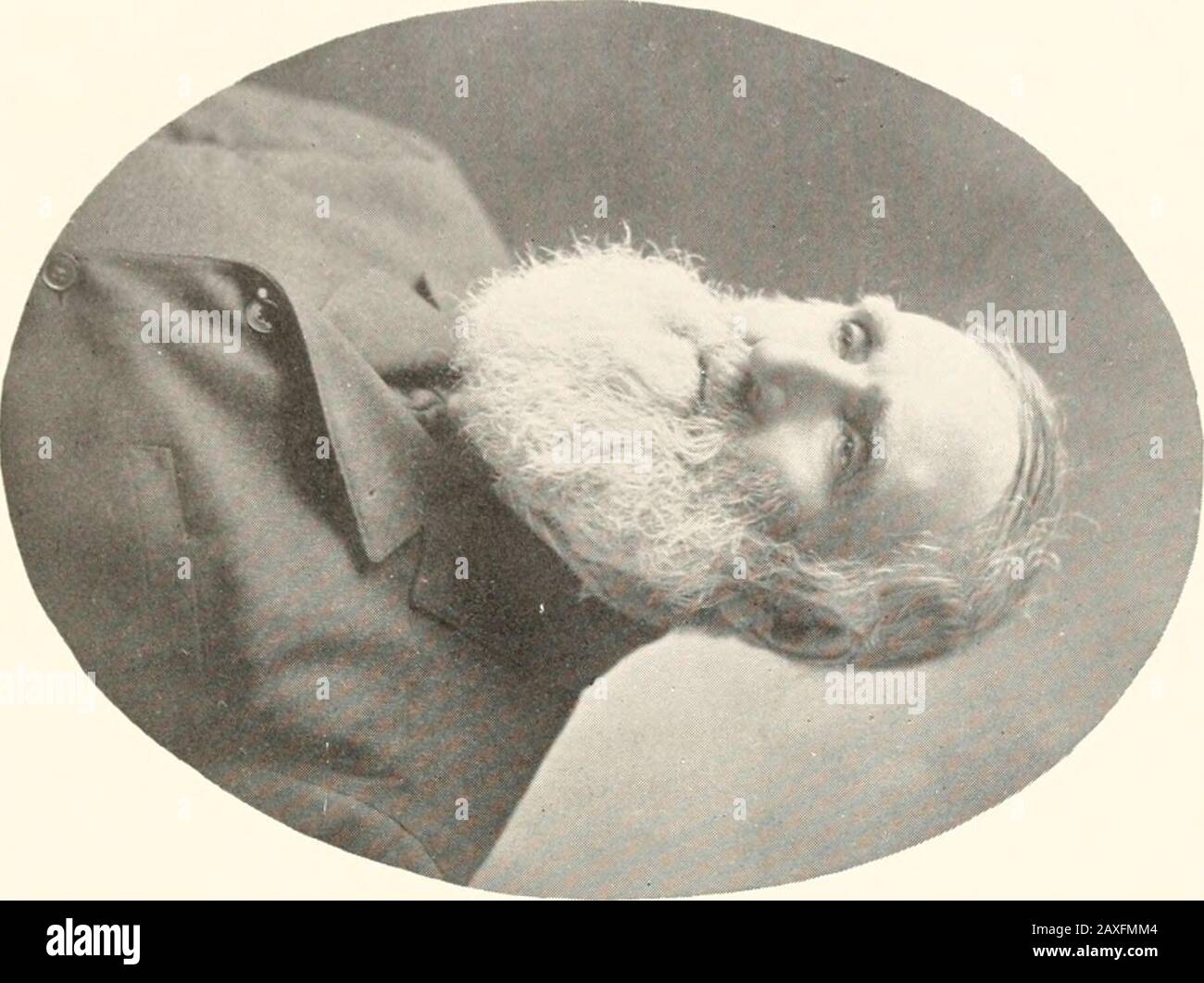 174 1736 hi-res stock photography and images - Alamy