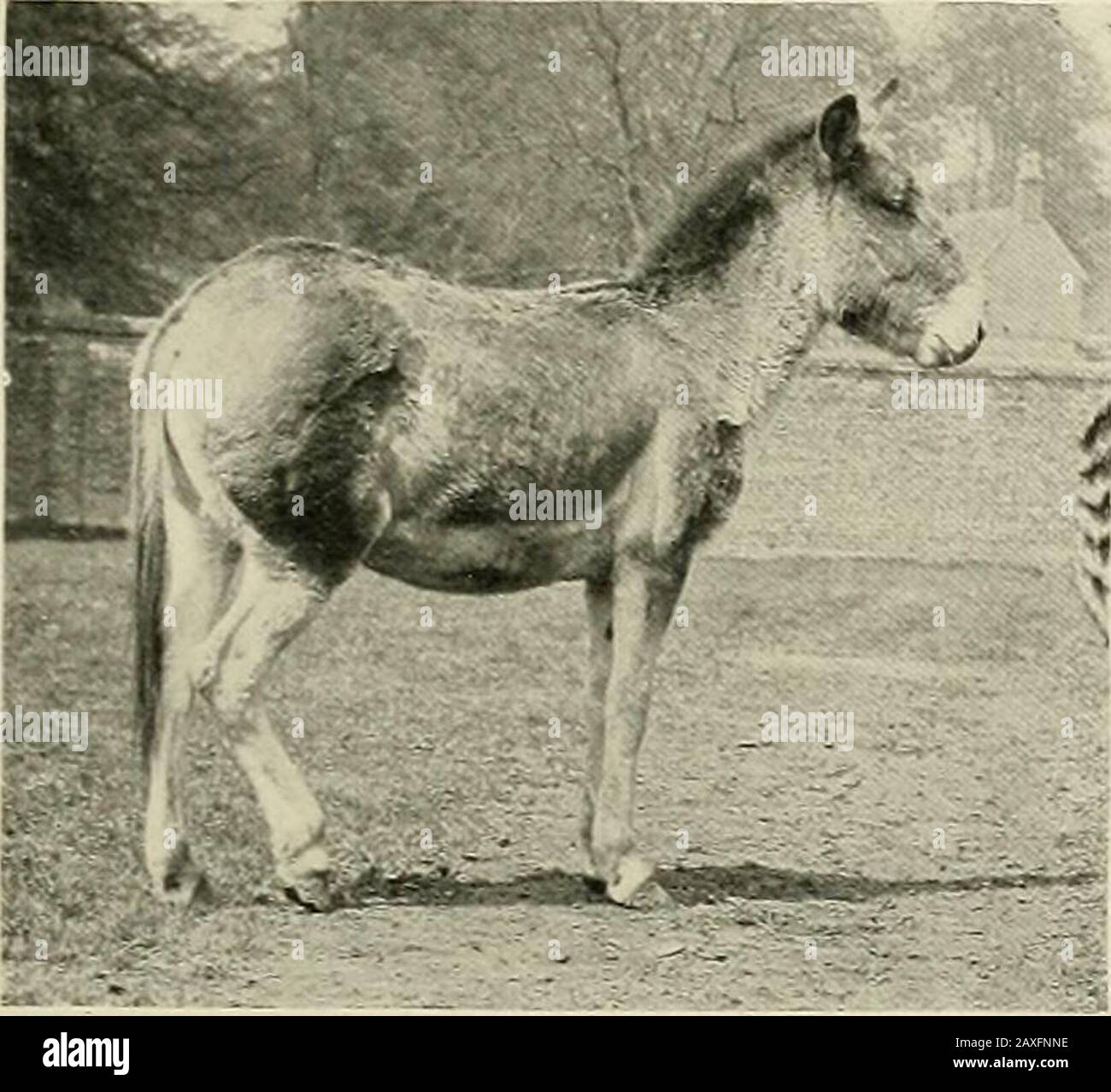 Capecolony hi-res stock photography and images - Alamy