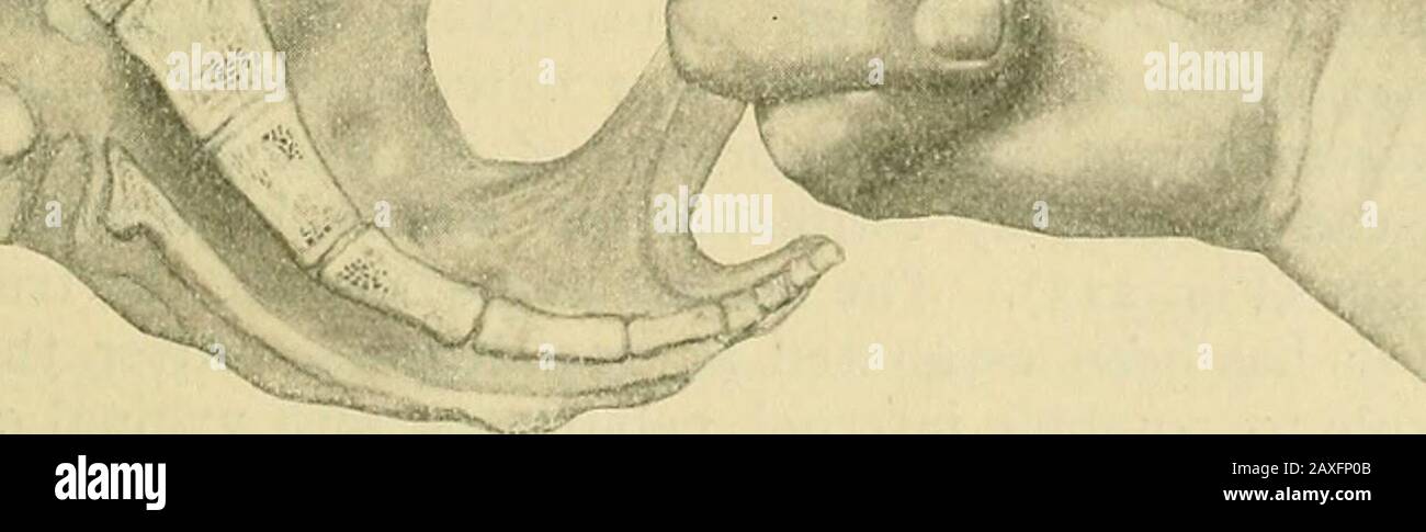 Hypothenuse hi-res stock photography and images - Alamy