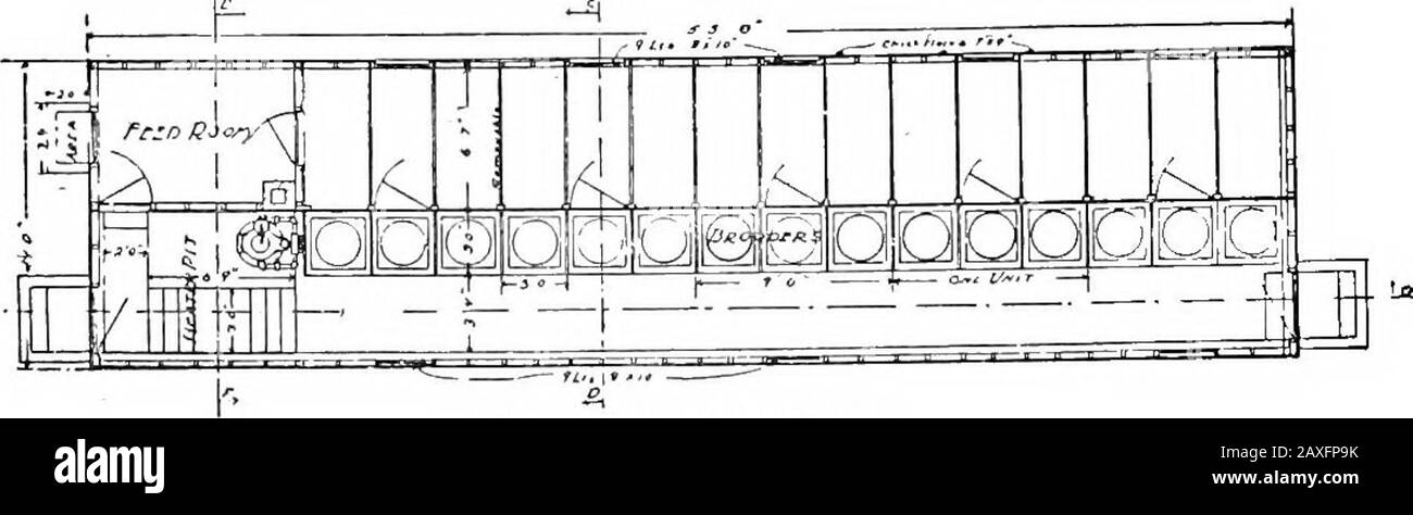 Poultry culture sanitation and hygiene . Double Brooder House. V ...