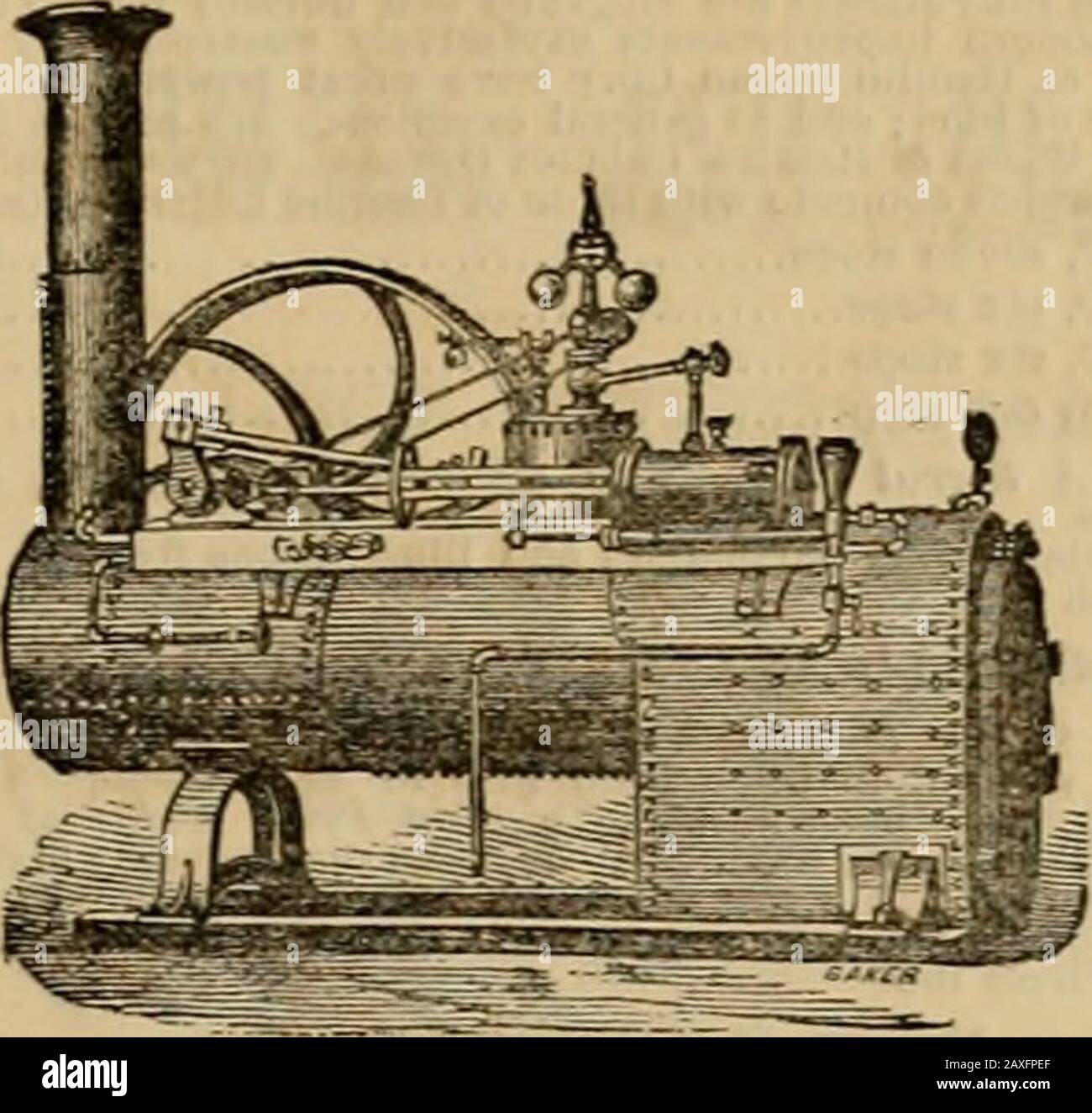 American hog tamer hi-res stock photography and images - Alamy