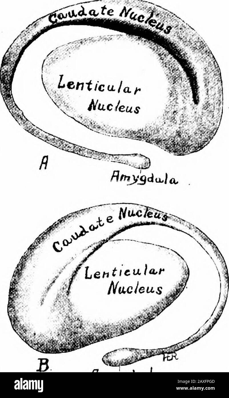 Pyramid shaped structure Black and White Stock Photos & Images - Alamy