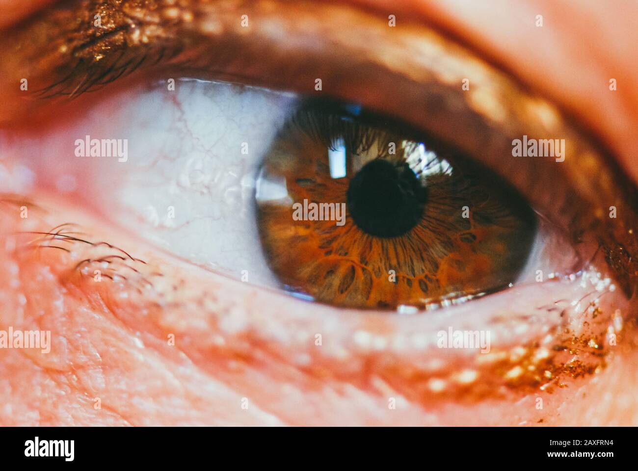 Extremely close up human eye hi-res stock photography and images - Alamy