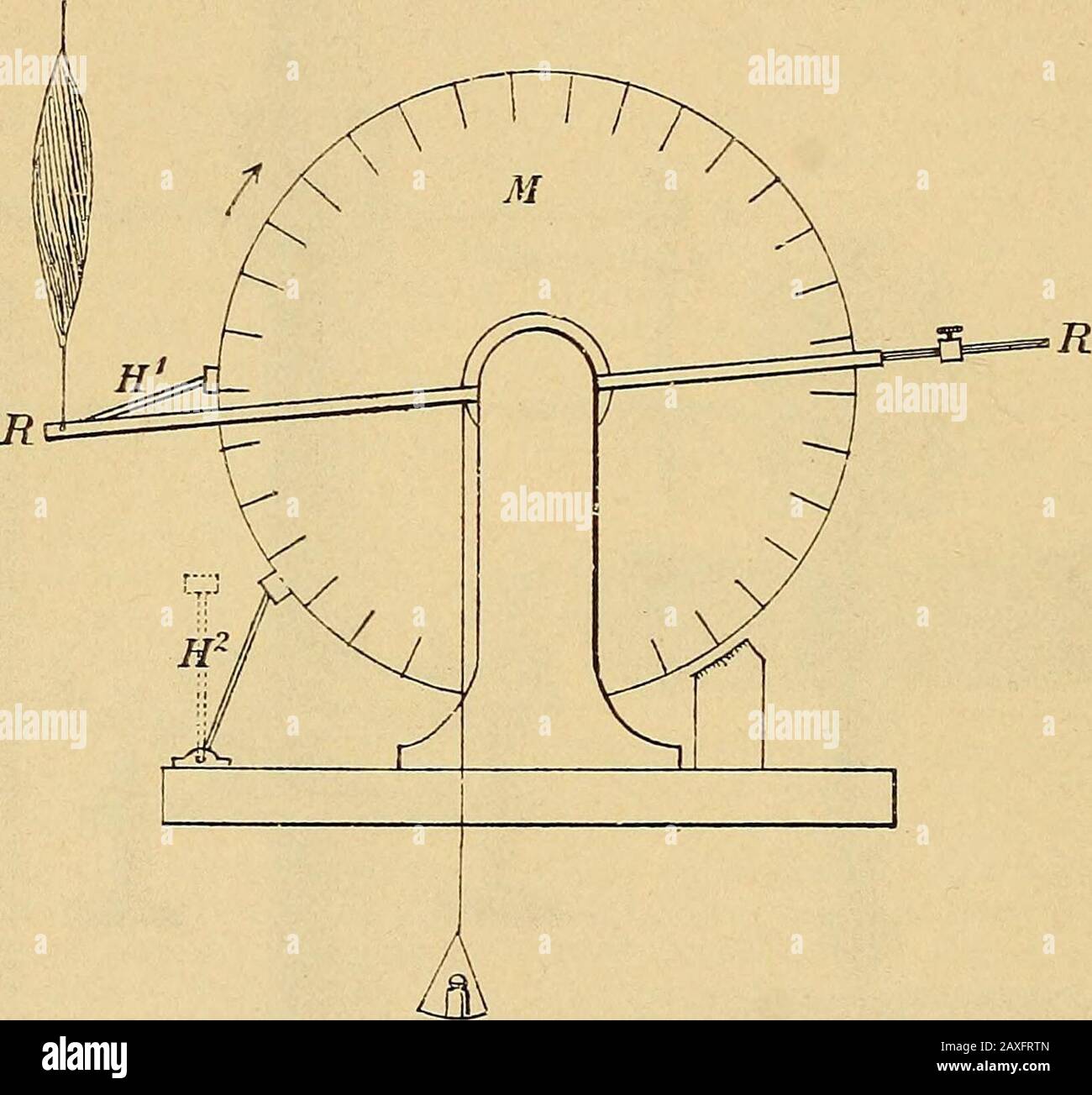 Nervus ischiadicus hi-res stock photography and images - Alamy