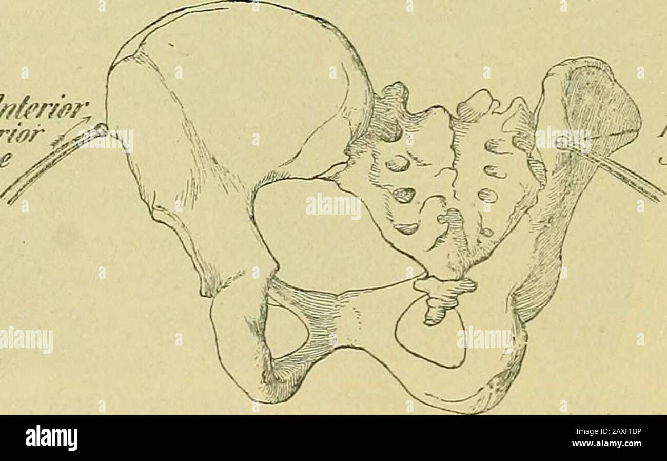 Litzmann hi-res stock photography and images - Alamy