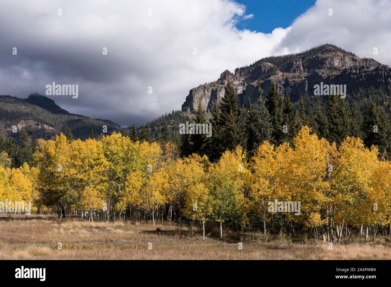 Autumn gold in the Cimarrona Valley with mountain peaks dominating the ...