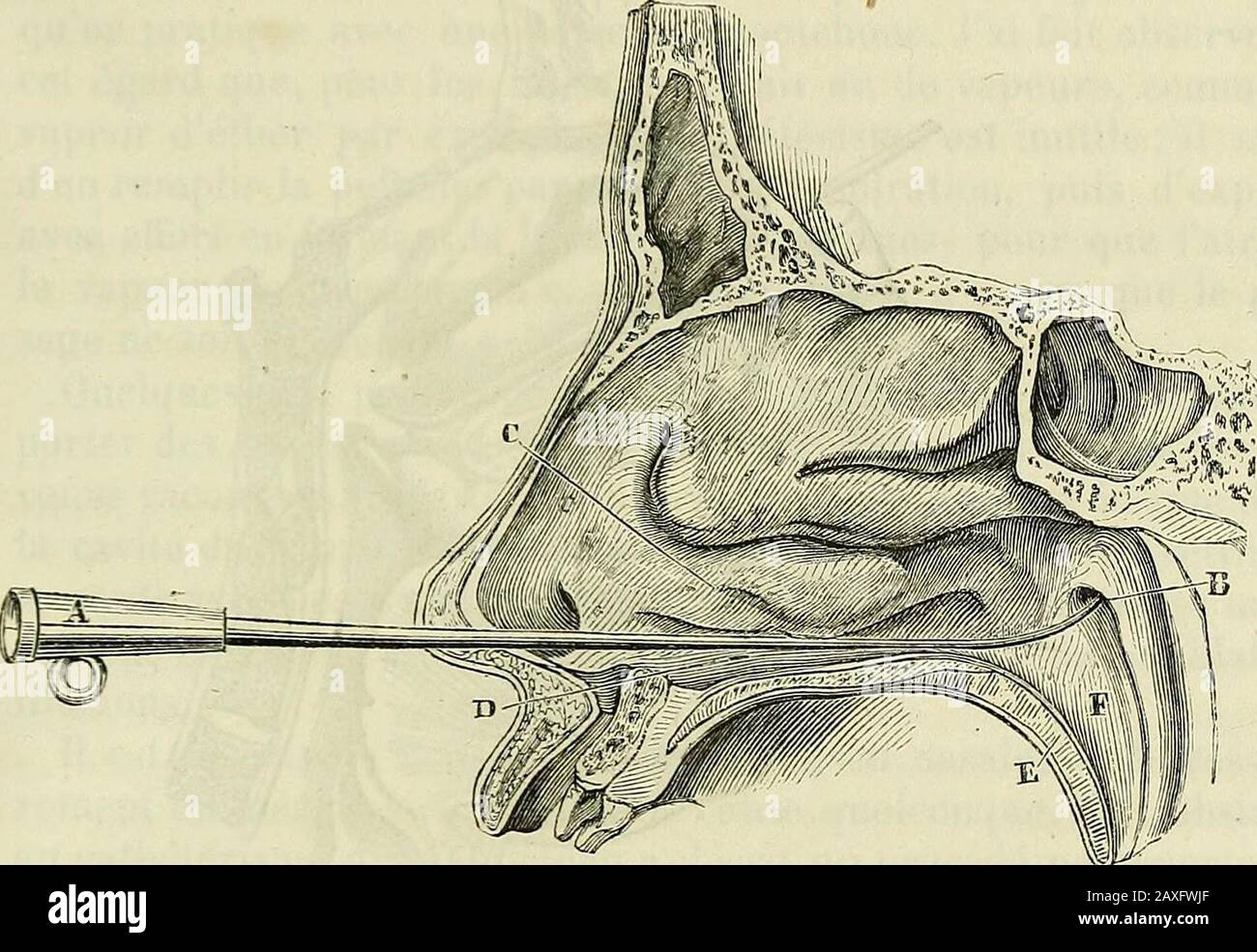 438 plus hi-res stock photography and images - Alamy