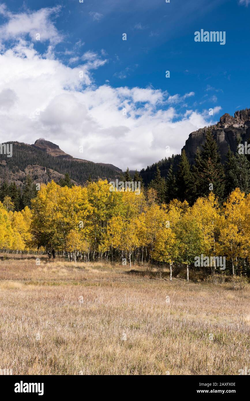 Cimarrona Campground is north of Pagosa Springs Colorado. Hiking trails ...