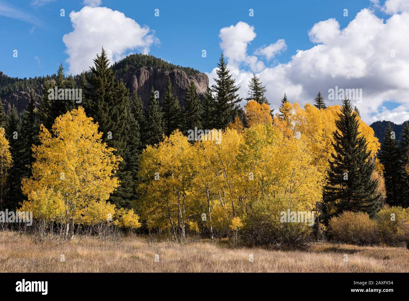 Cimarrona Campground is north of Pagosa Springs Colorado. Hiking trails ...