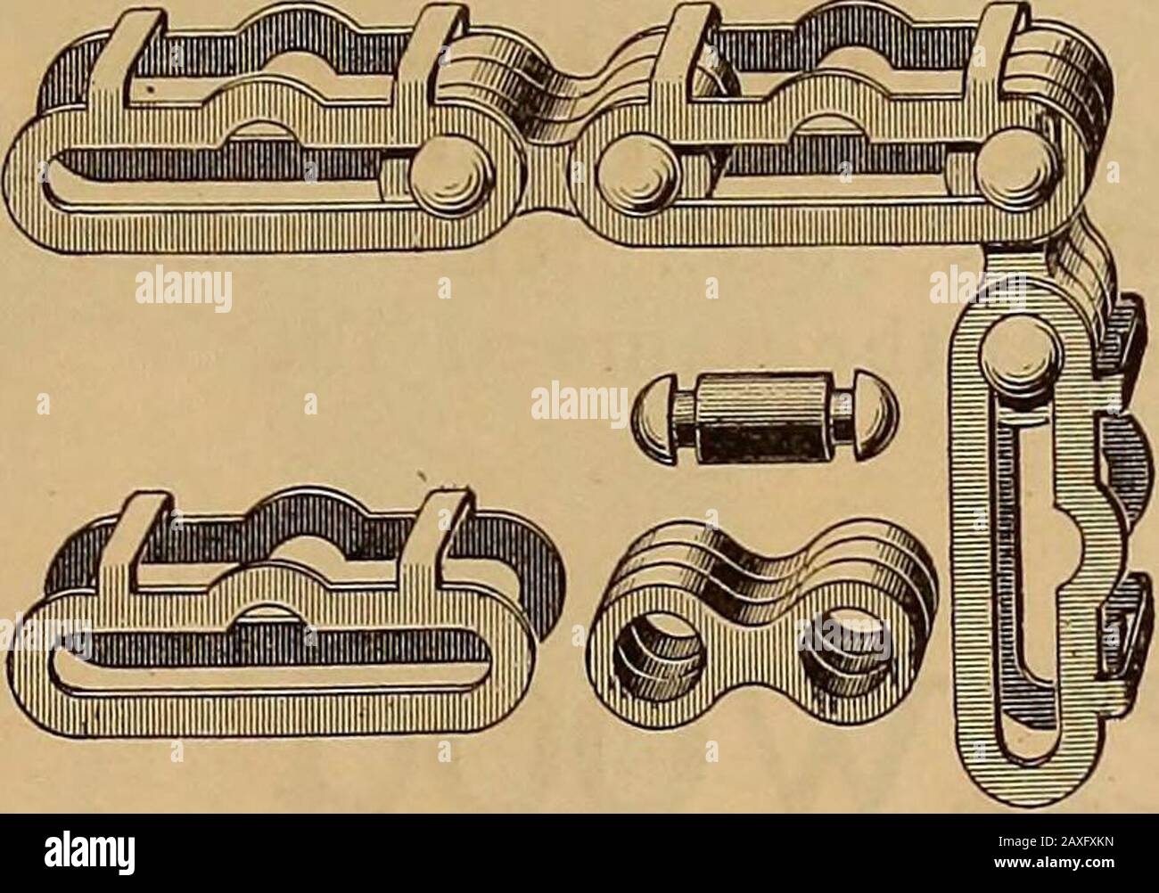 Monarch cycle hi-res stock photography and images - Alamy