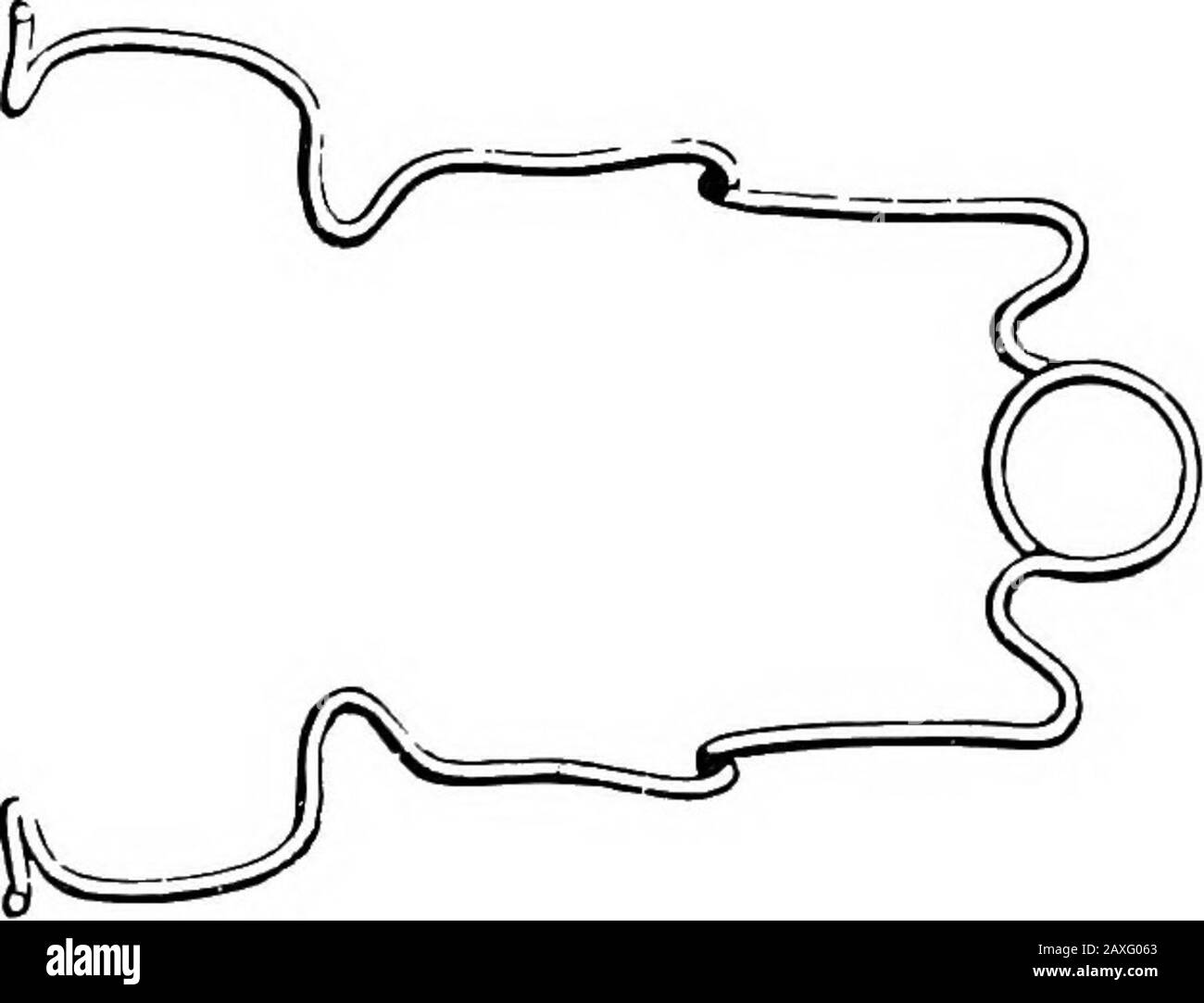 Dissecting scalpel hi-res stock photography and images - Alamy