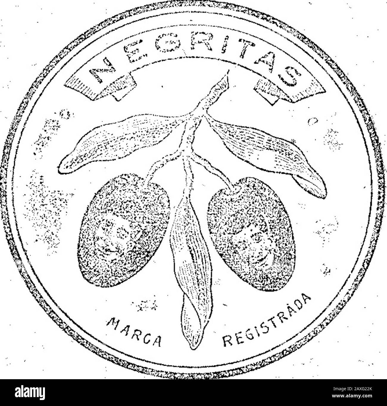 Condensatore Storico Comitato Para Izo Campionato Moglie Fragola