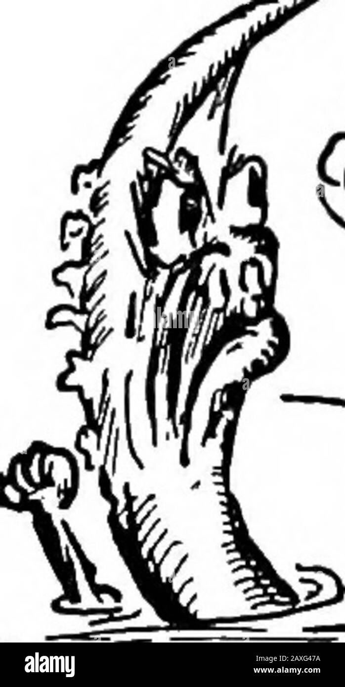 Principle of descent Black and White Stock Photos & Images - Alamy