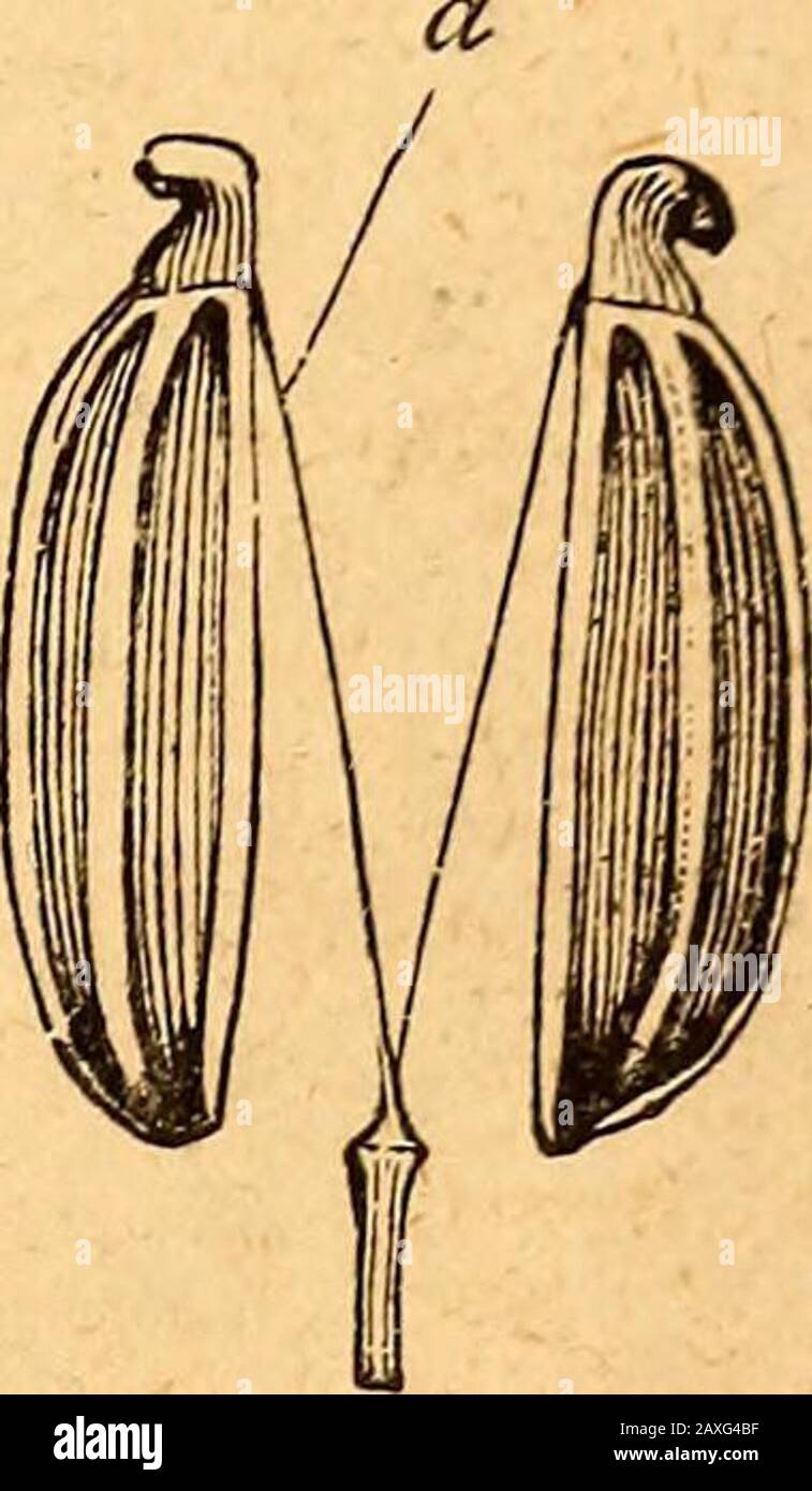 Innerlayer hi-res stock photography and images - Alamy