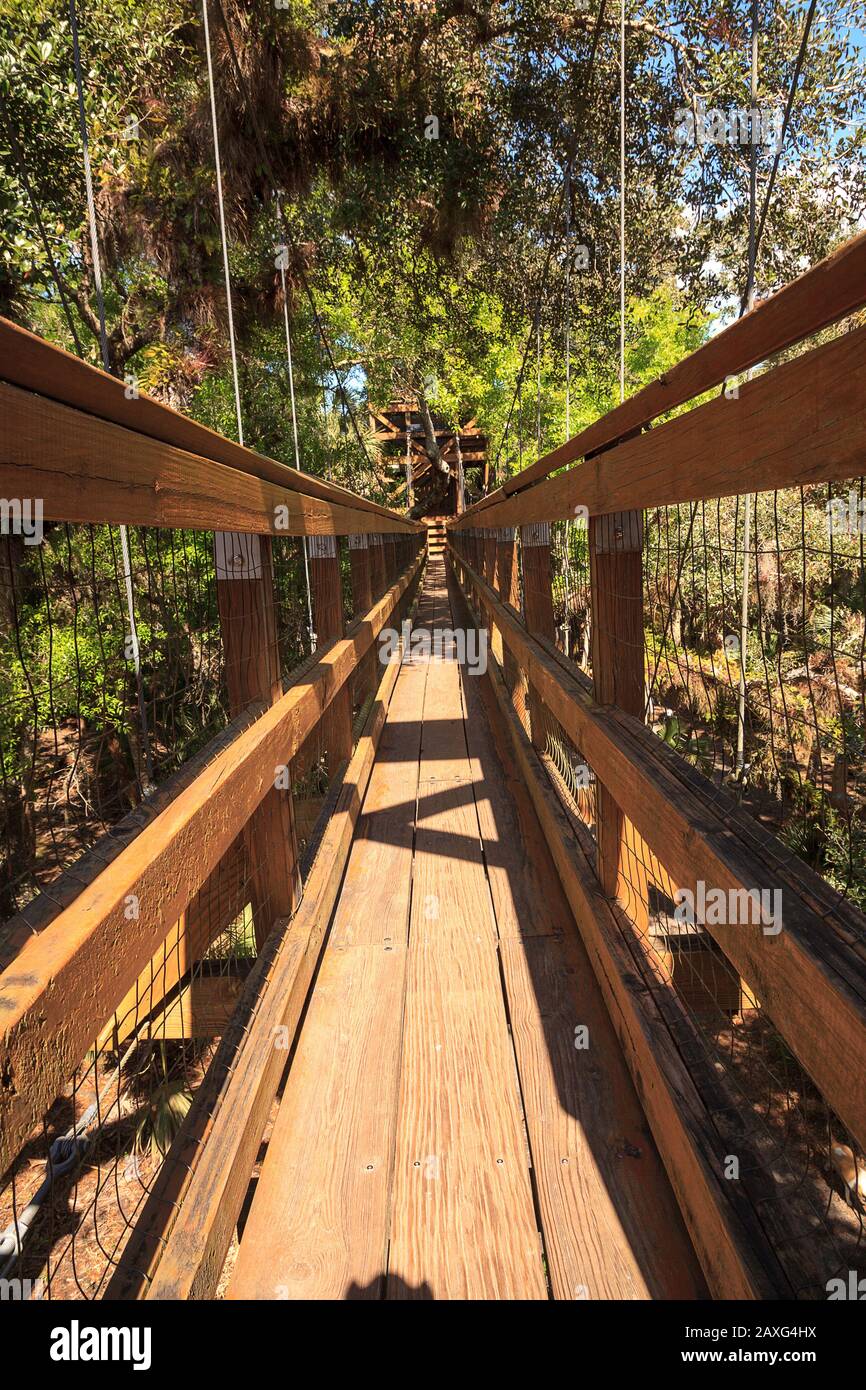 Tower, bridge, and Bird watching walkway boardwalk in Myakka State Park ...