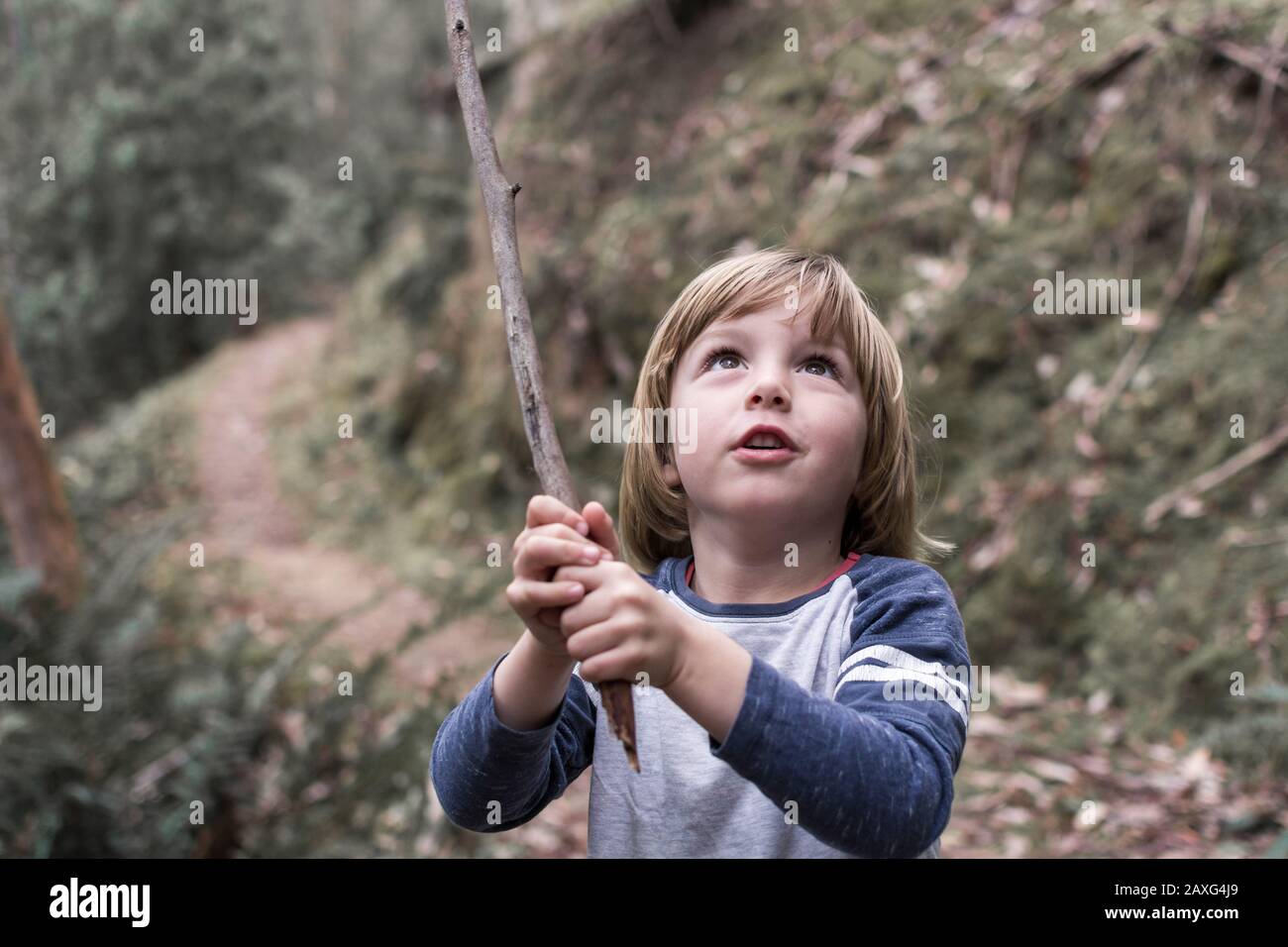 Young boy playing with stick on nature trail Stock Photo - Alamy