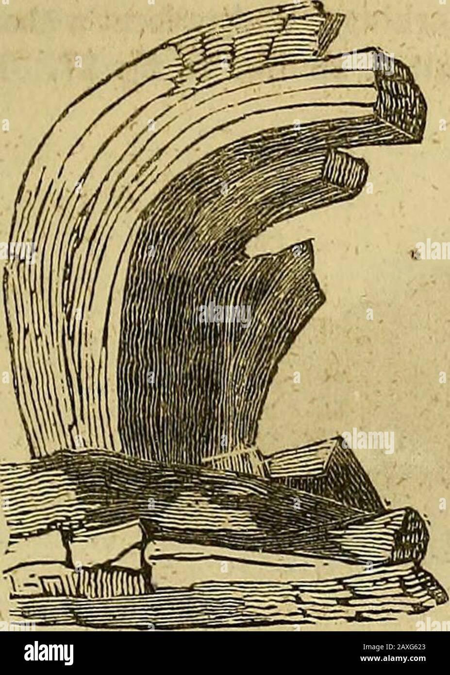 Curved frontispiece hi-res stock photography and images - Alamy