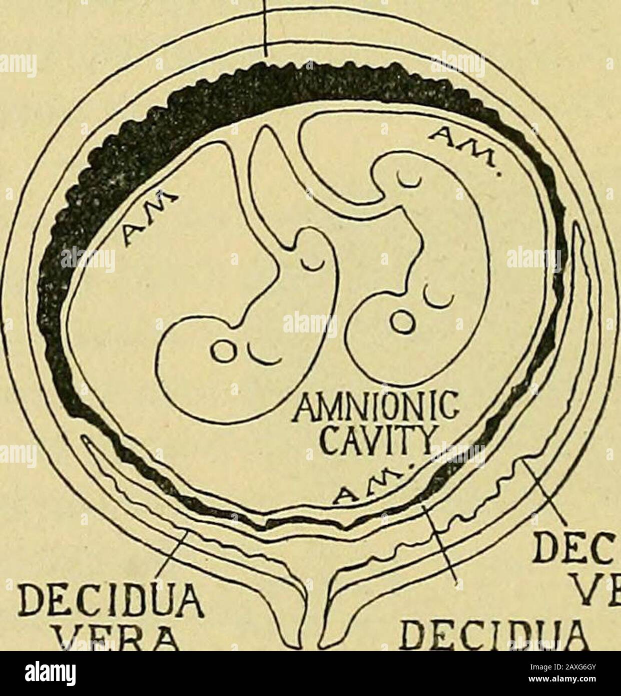 The practice of obstetrics, designed for the use of students and ...