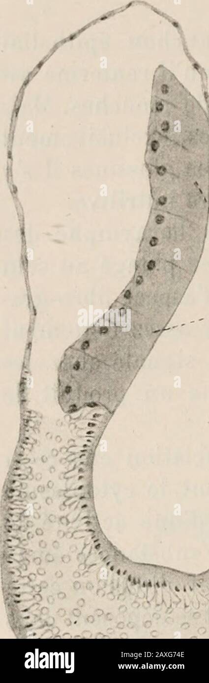 Condensant hi-res stock photography and images - Alamy