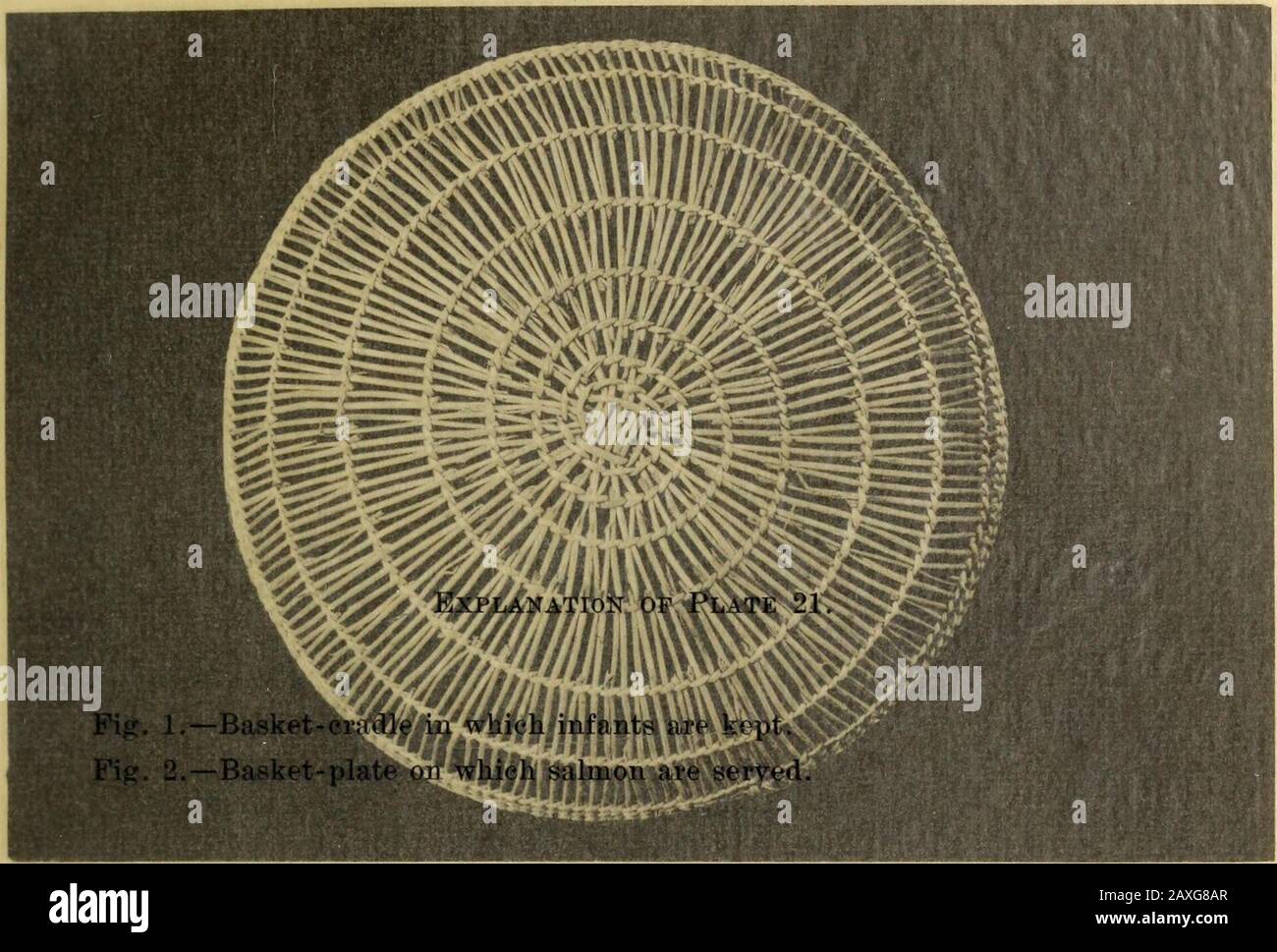 Heliotype hi-res stock photography and images - Alamy