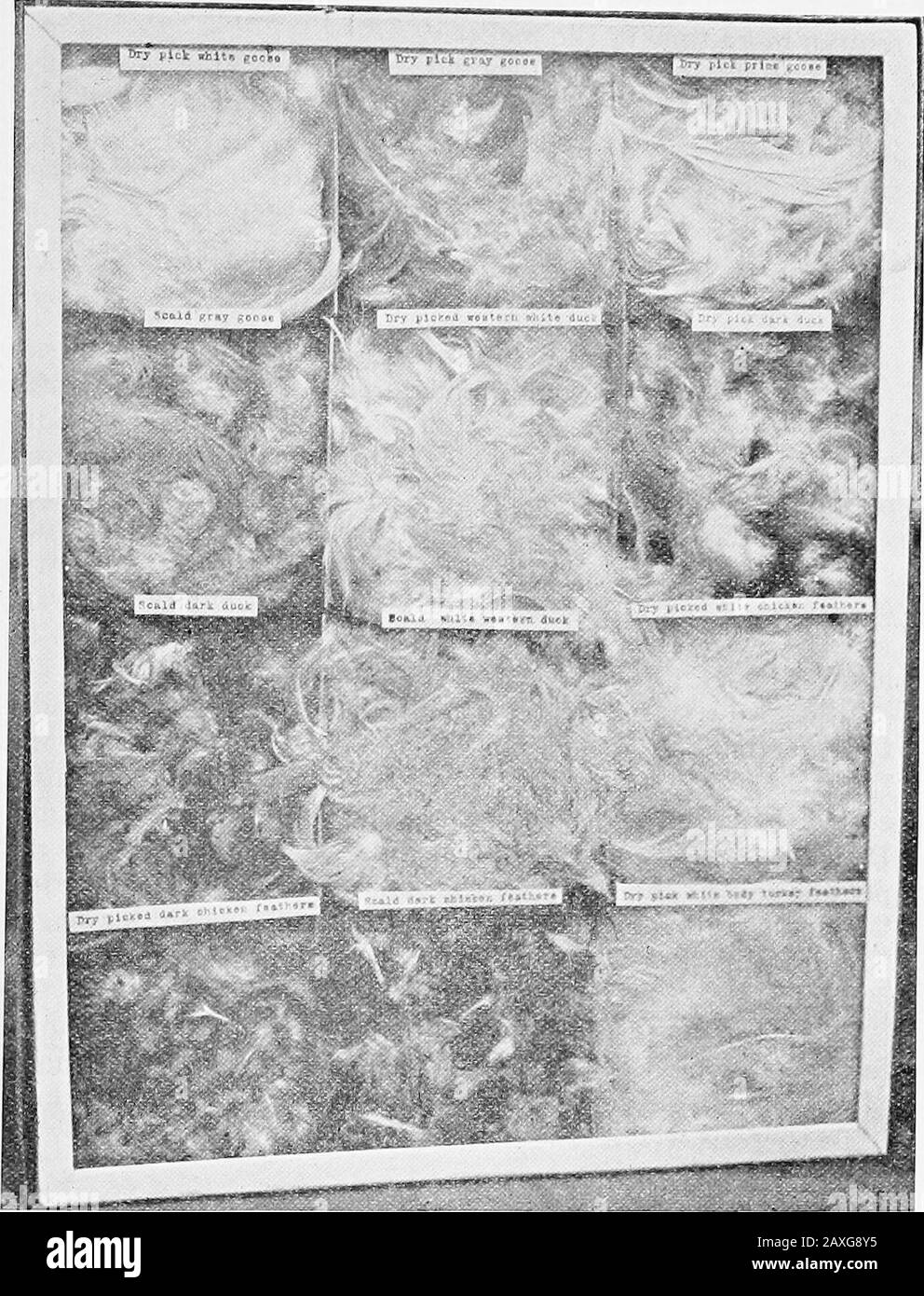 Longat Black and White Stock Photos & Images - Alamy