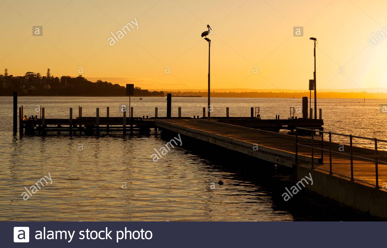 Pelican Pole High Resolution Stock Photography and Images - Alamy