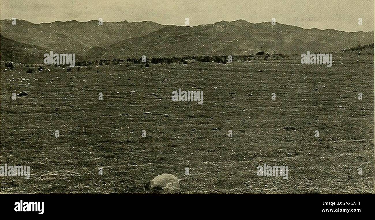 Alluvial basin fill hi-res stock photography and images - Alamy