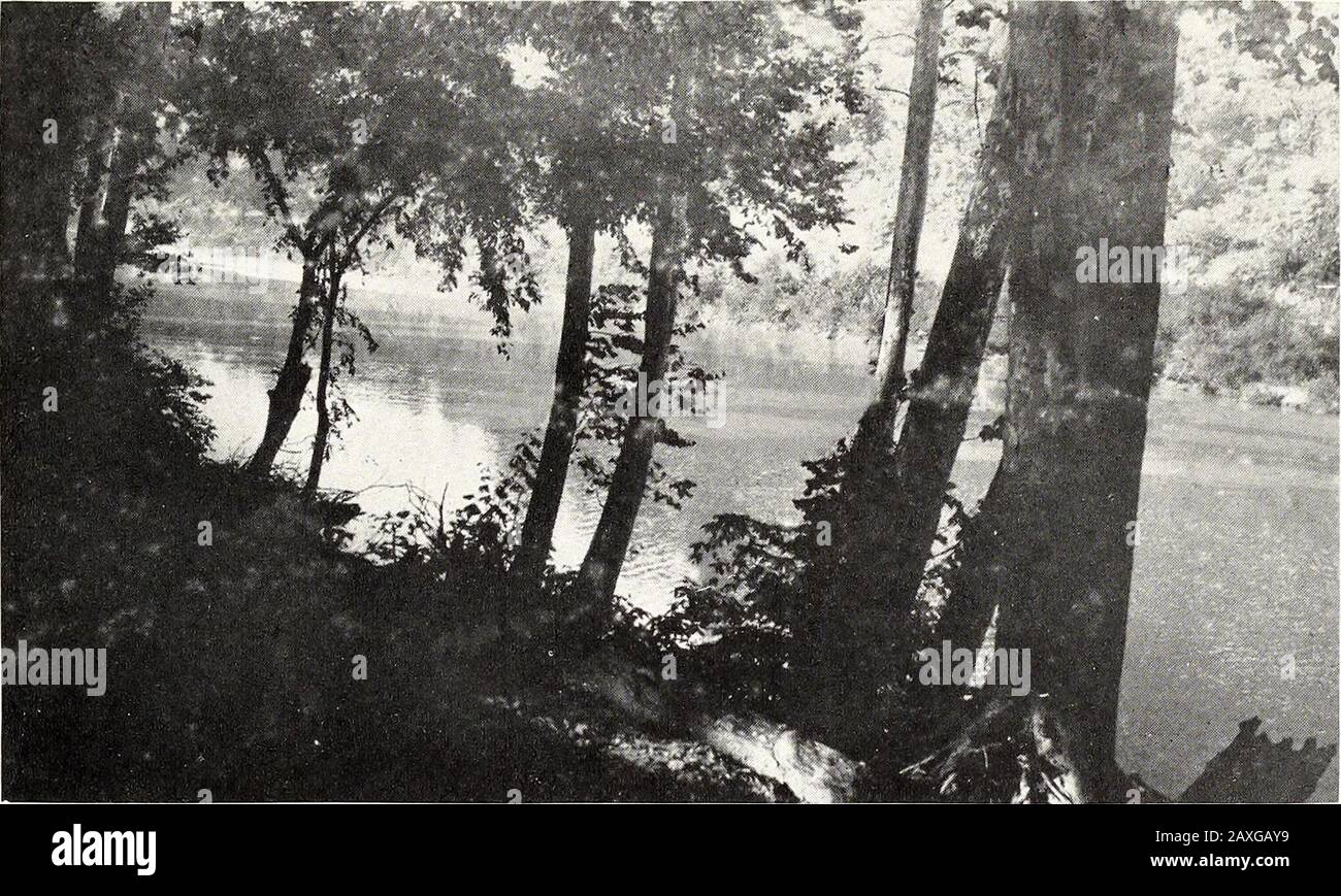 The Wilderness road to Kentucky : its location and features . The Lick ...