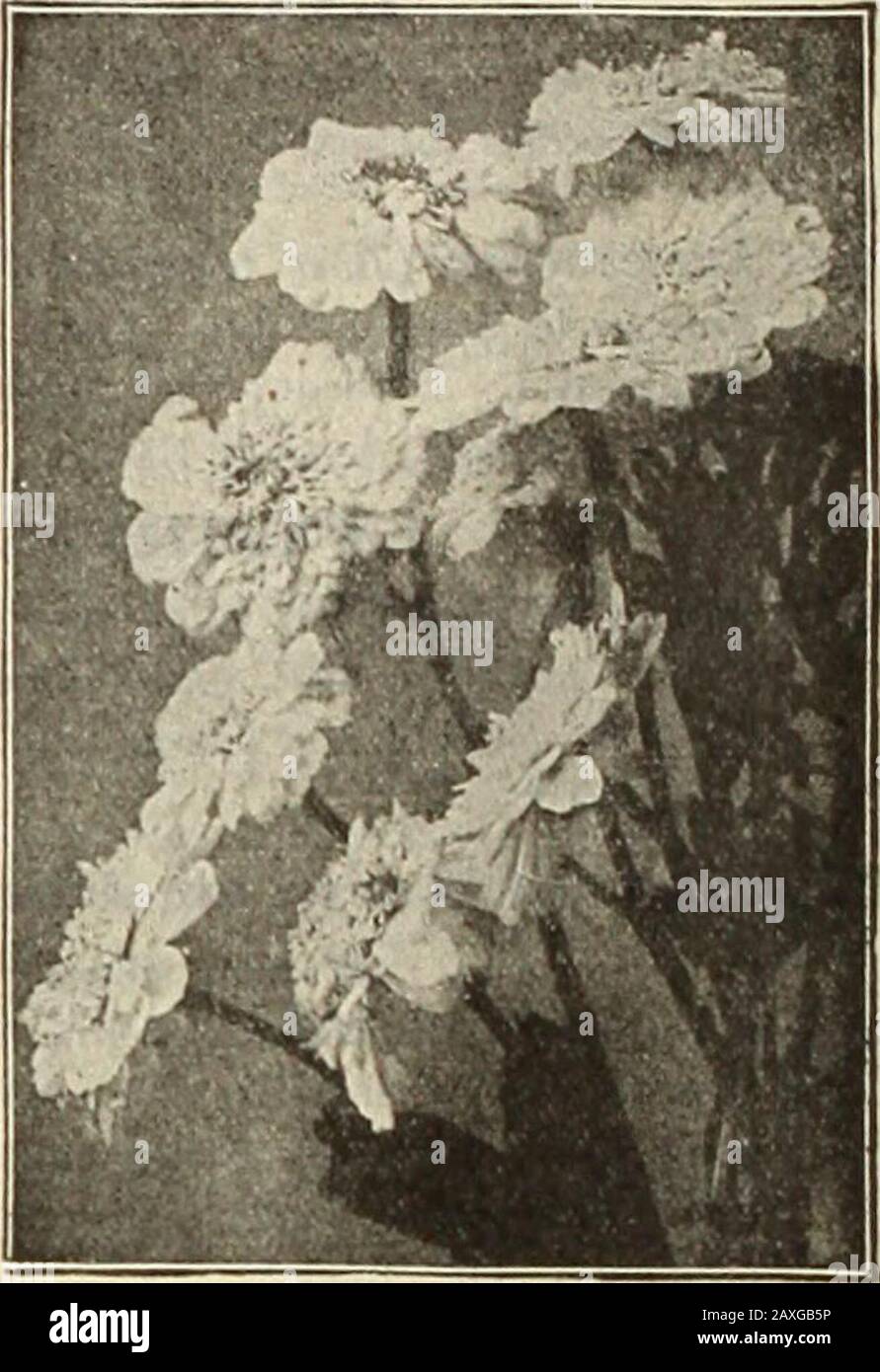 Se 3121 hi-res stock photography and images - Alamy