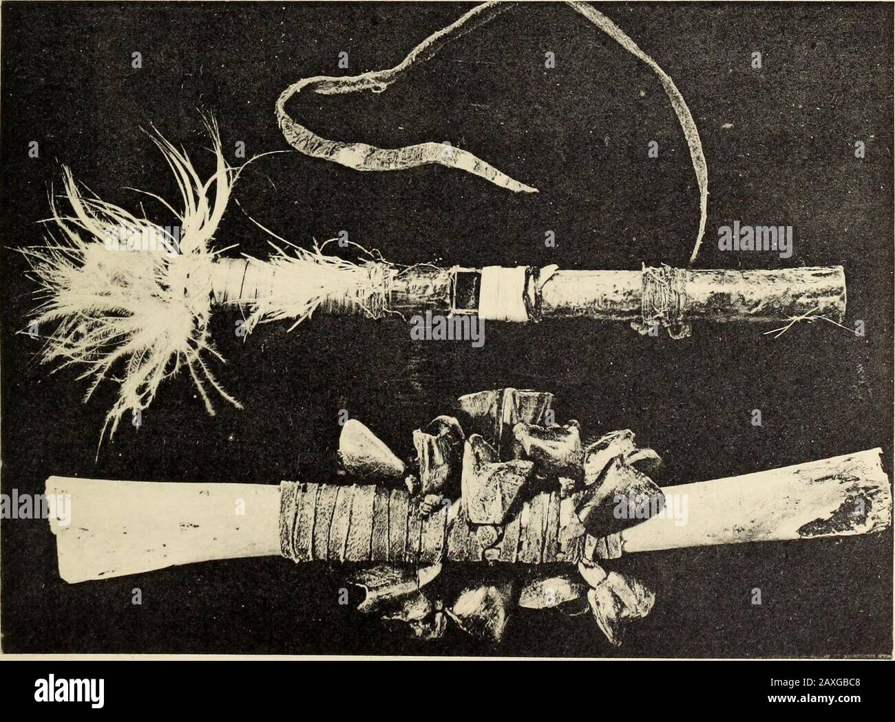 Heliotype hi-res stock photography and images - Alamy