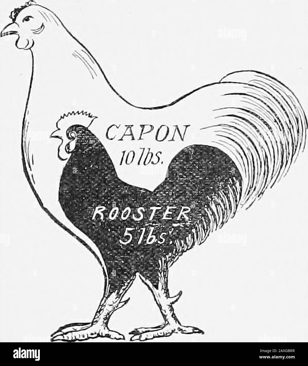 Crowded condition Black and White Stock Photos & Images - Alamy