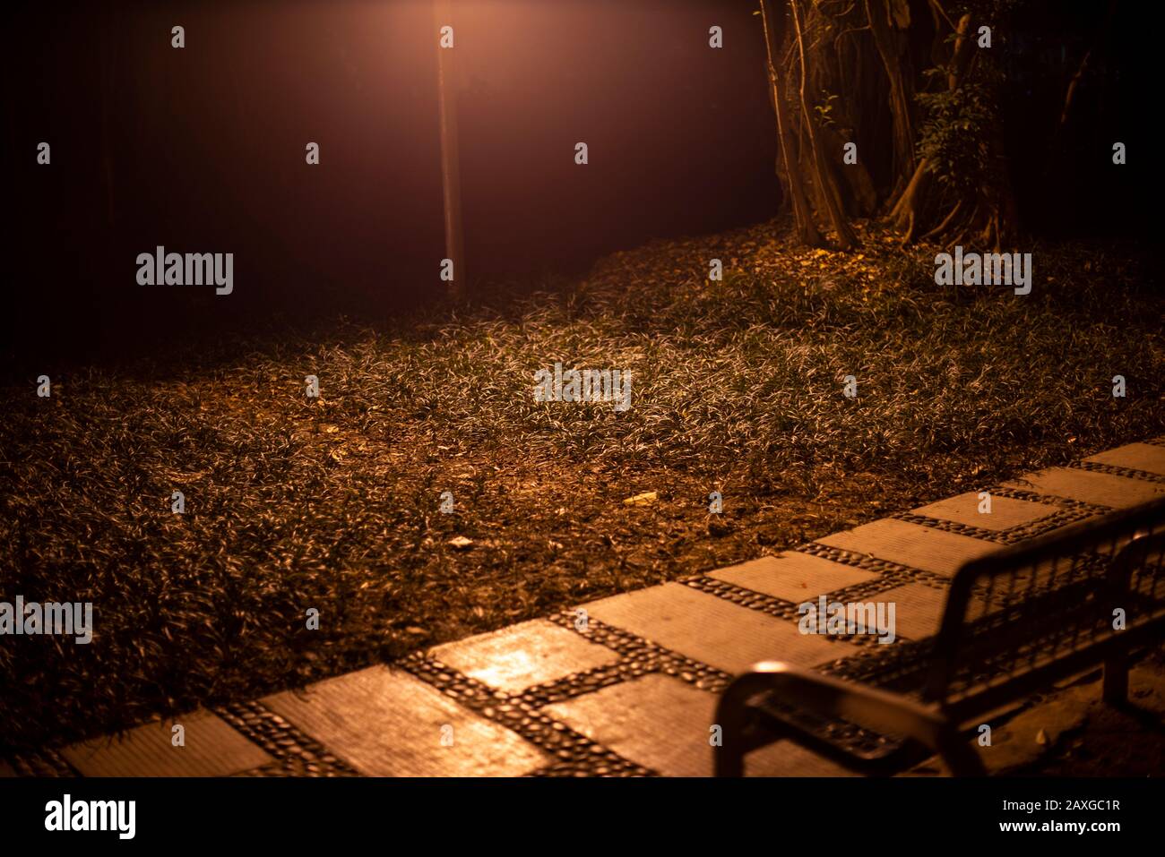 Bench under street lamp in night park Stock Photo - Alamy
