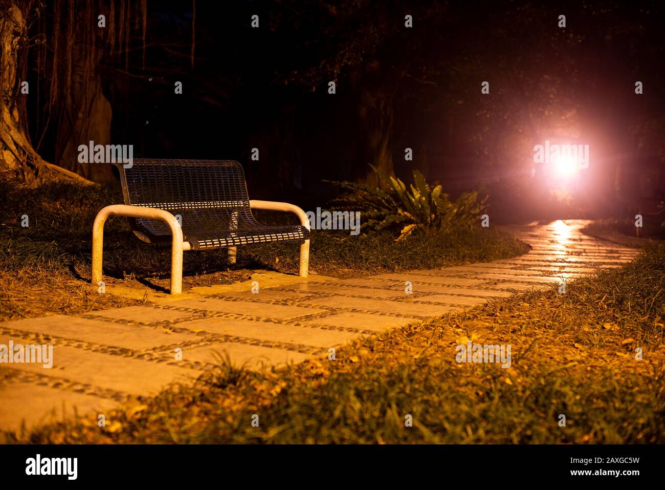 Bench under street lamp in night park Stock Photo - Alamy