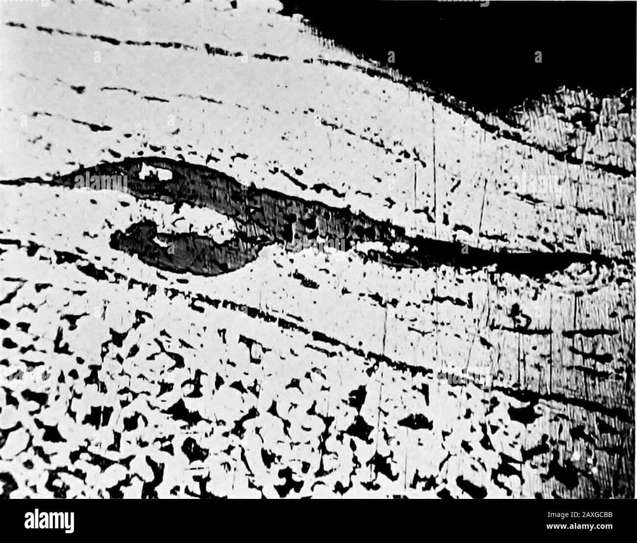 Silver bromide print Black and White Stock Photos & Images - Alamy