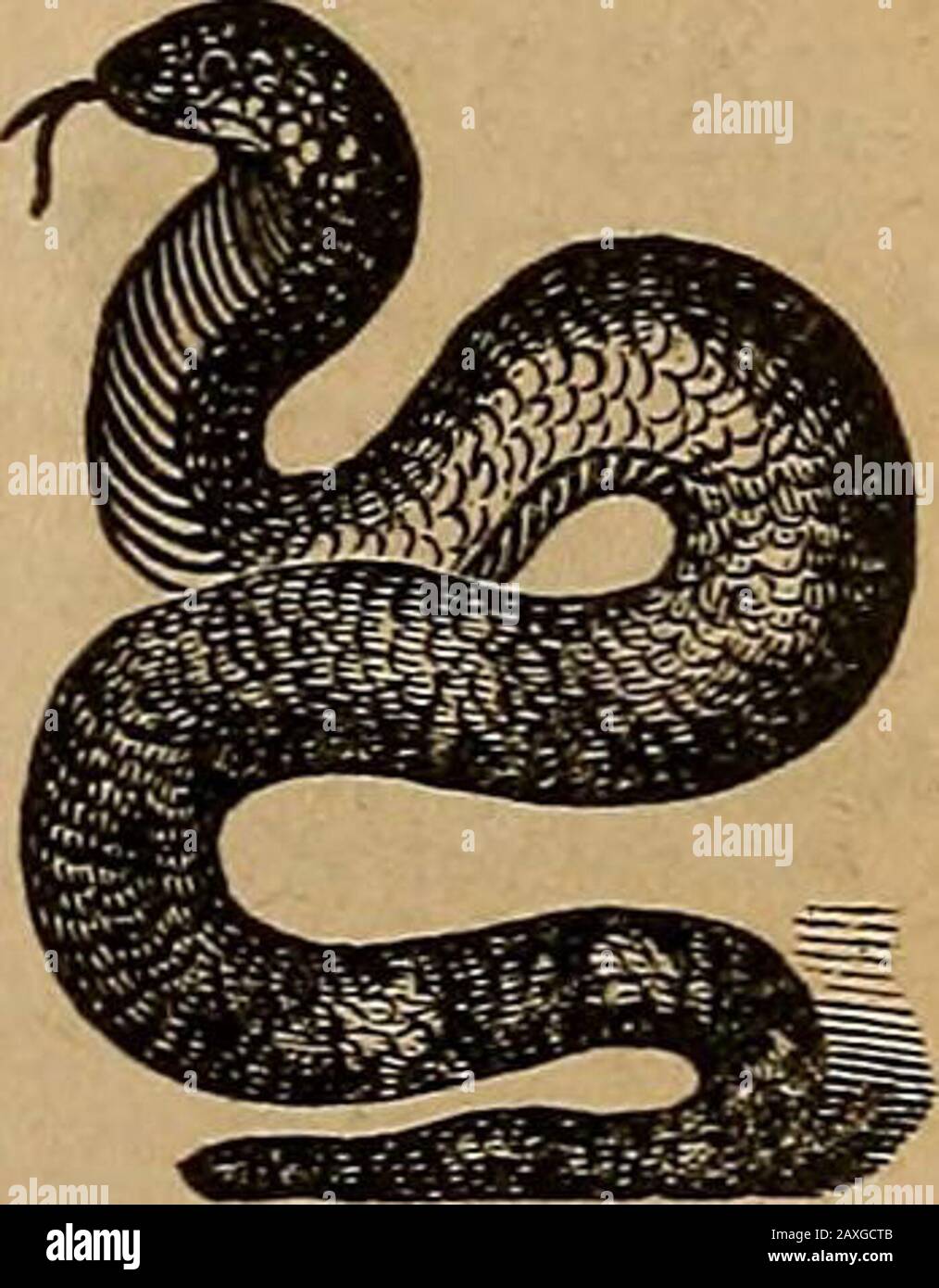 Water based pitch hi-res stock photography and images - Alamy