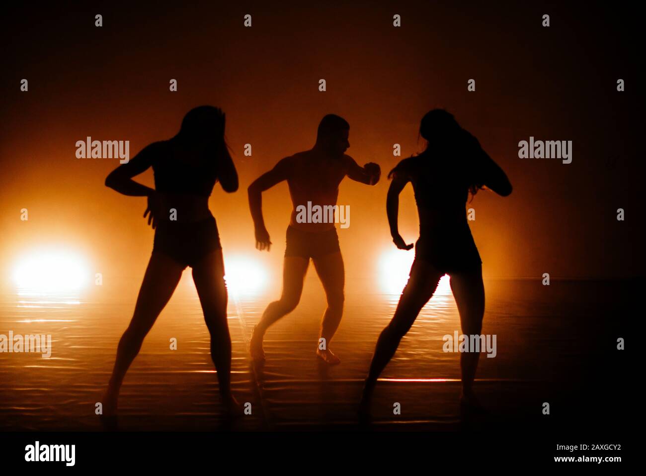 Graceful slender dancers performing a dance routine in the studio Stock ...