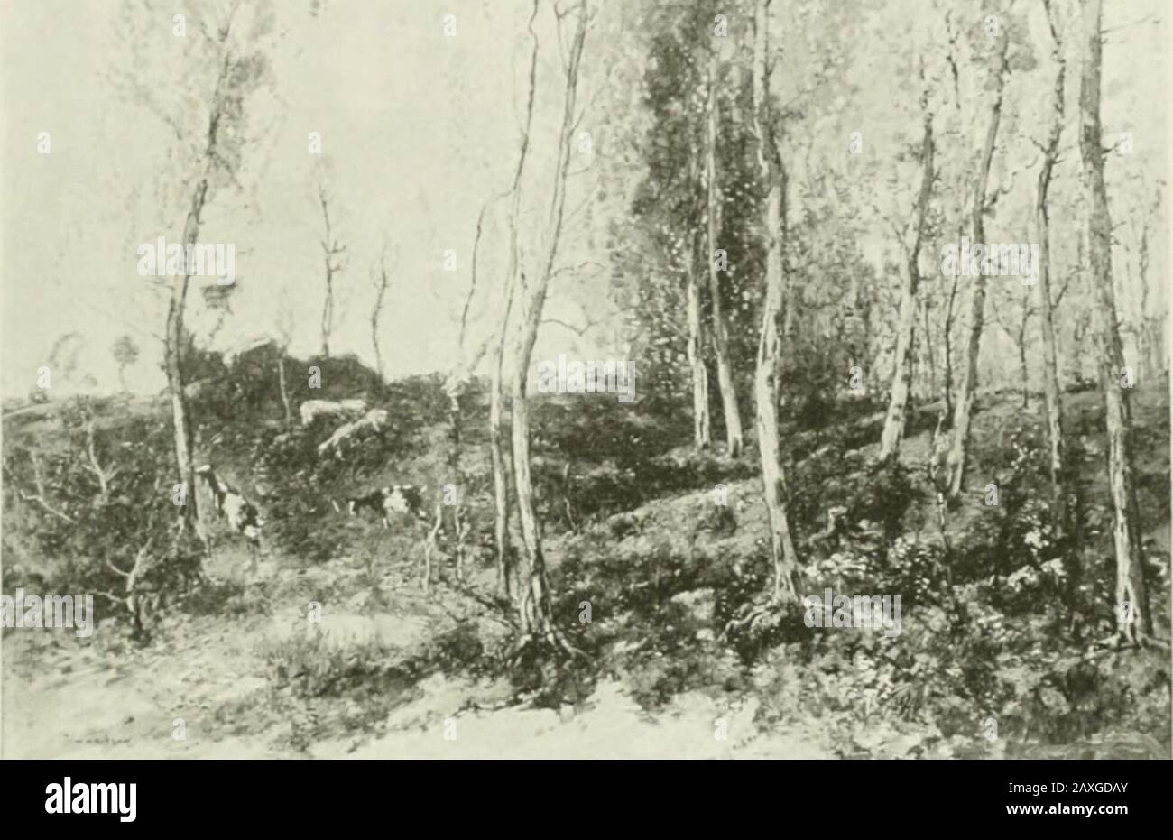 P y hutchinson hi-res stock photography and images - Alamy