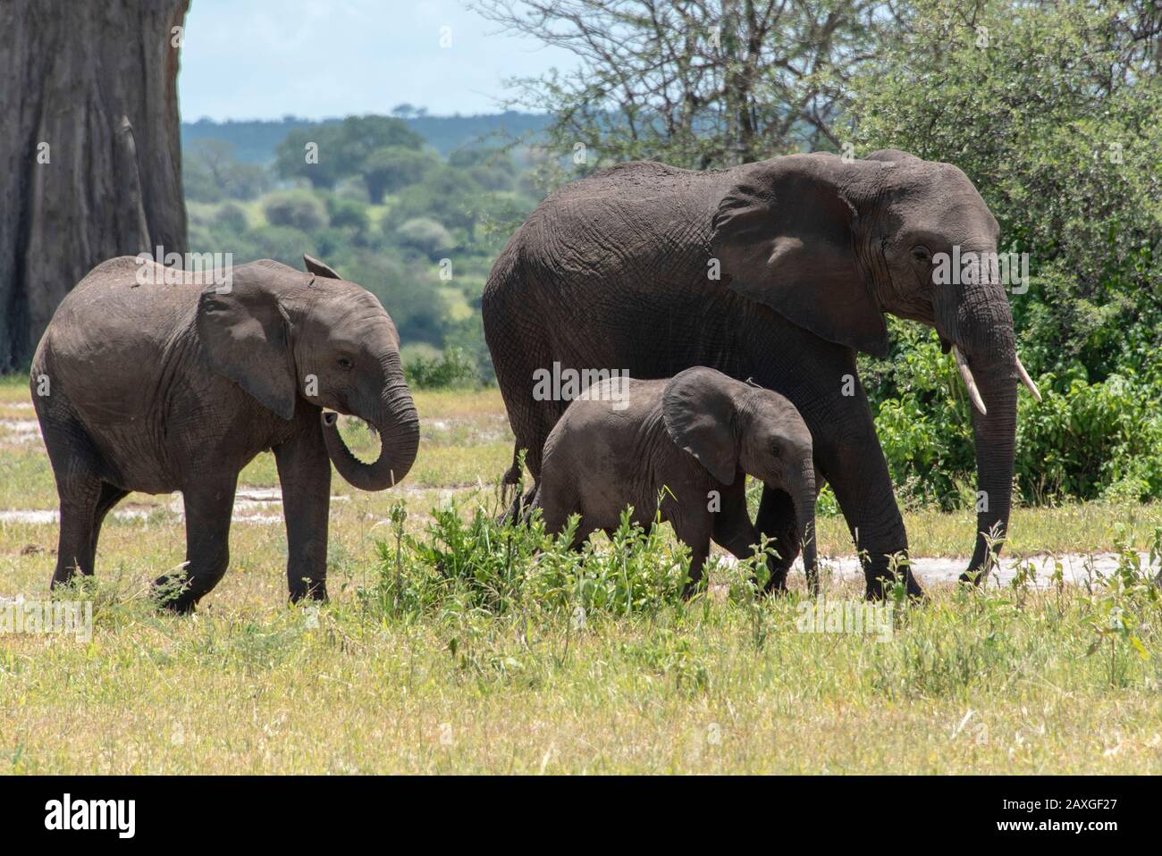 List of national parks of natural hi-res stock photography and images ...